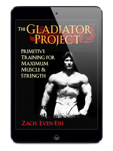 Gladiator Project • Zach Even-Esh