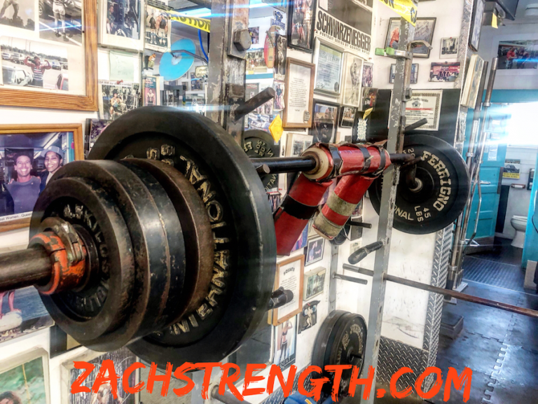 Hatfield Squats + Lower Body Workout Explained • Zach Even-Esh