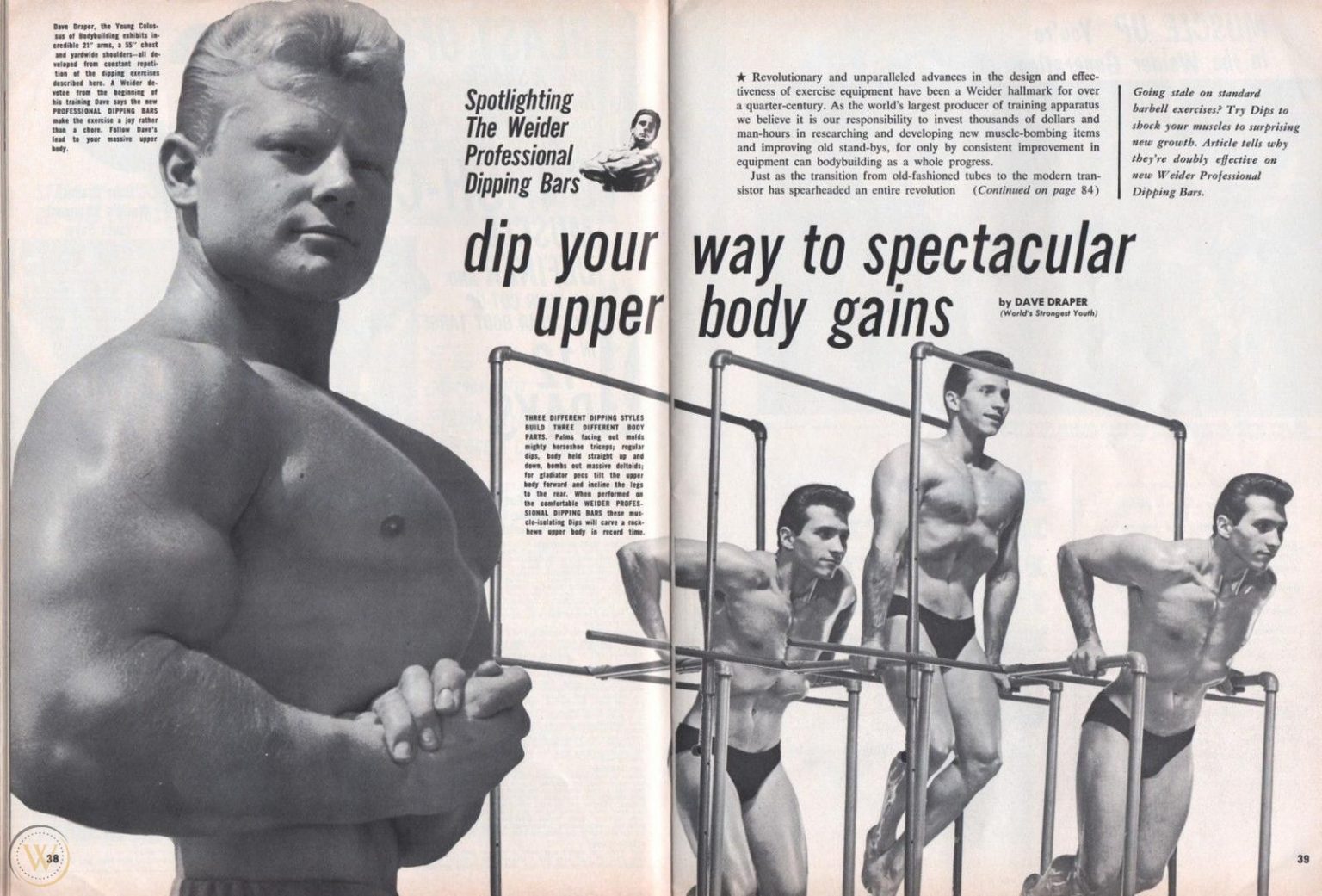 Dave-Draper-Dips • Zach Even-Esh