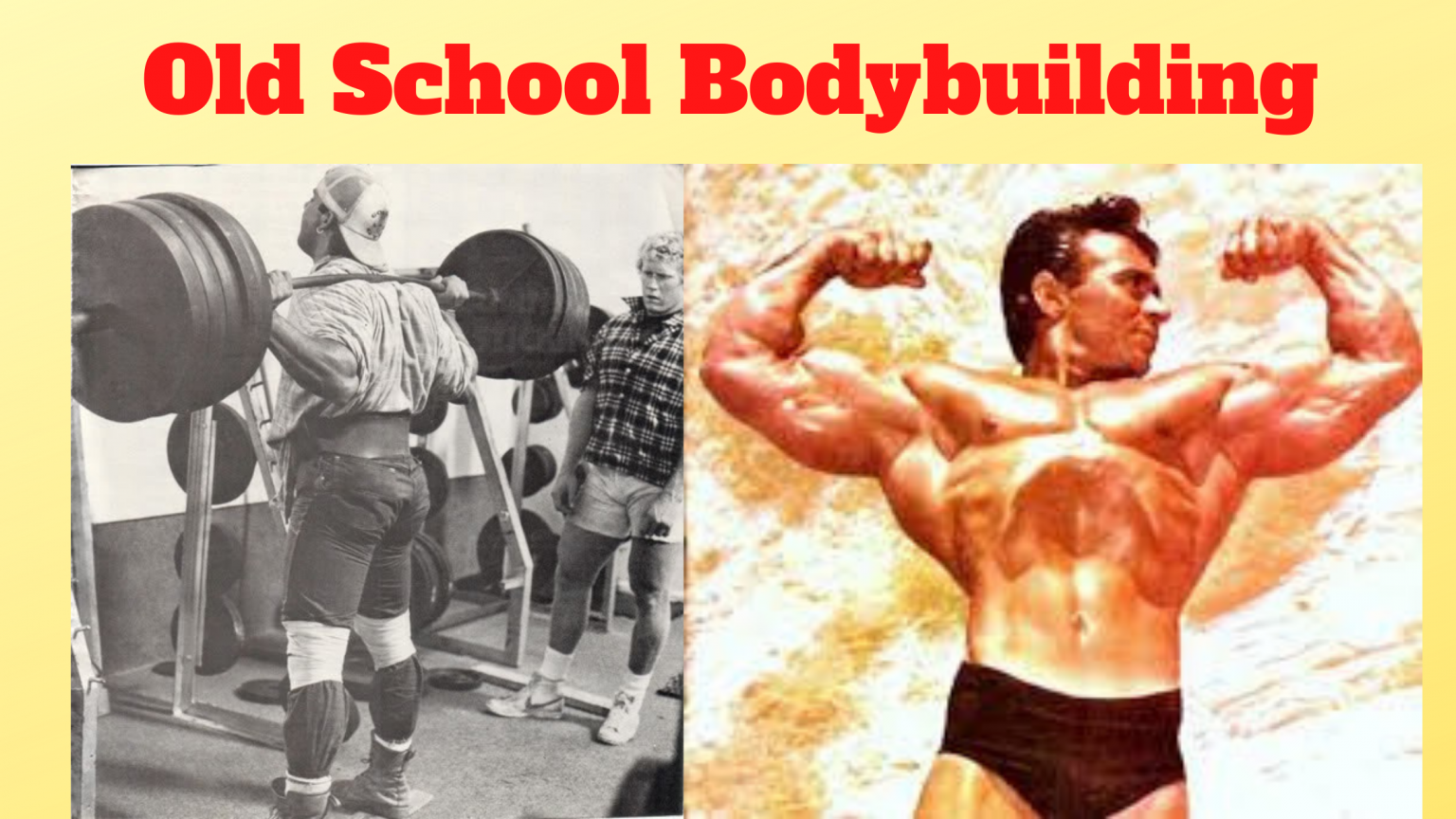 old-school-bodybuilding-banner • Zach Even-Esh