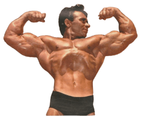 Freddy Ortiz Biceps • Zach Even-Esh